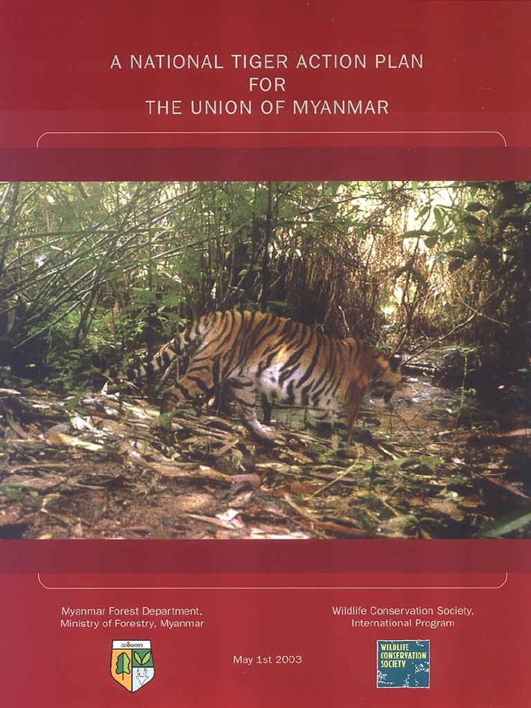 A National Tiger Action Plan For The Union of Myanmar | PDF | Tiger ...