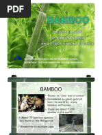 Bamboo PDF | PDF | Bamboo | Wall