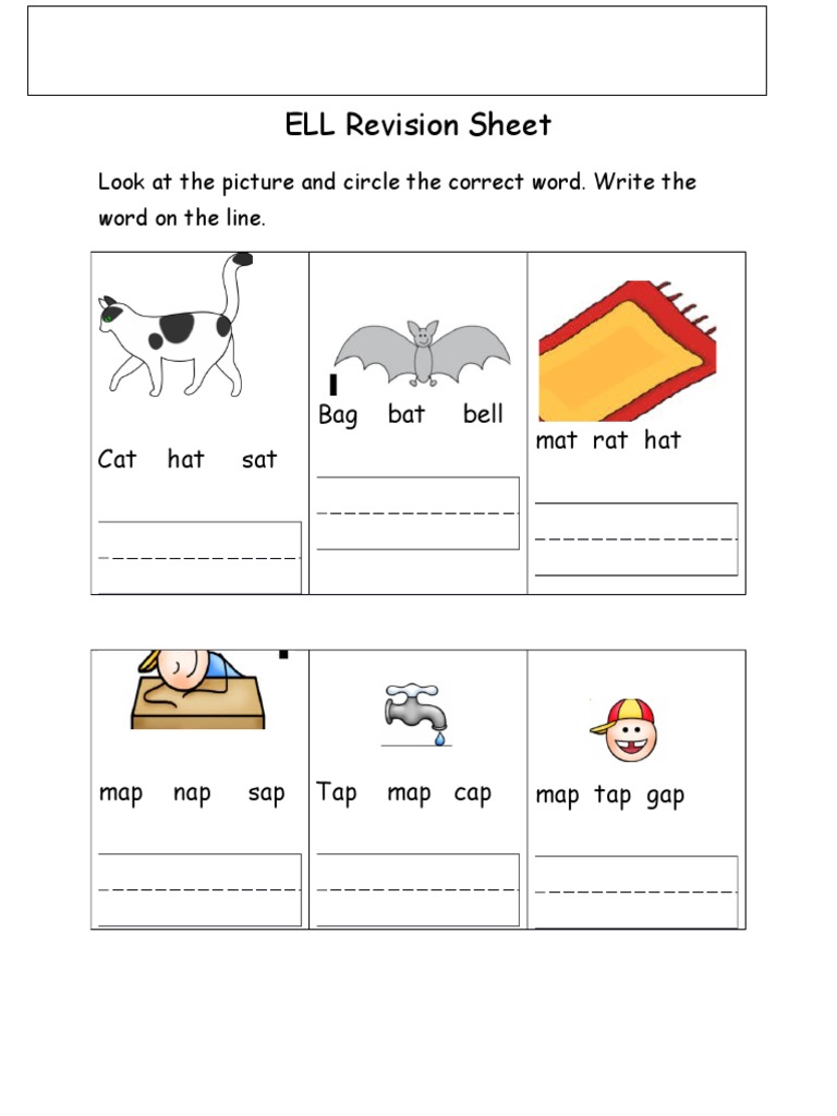 ELL Vocabulary and Sentence Practice | PDF | Language Arts & Discipline