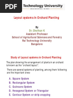 Method of Layout Orchard | PDF | Plants | Trees