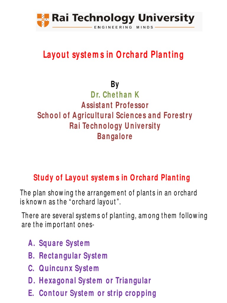 Planting System in Orchards | PDF | Contour Line | Orchard