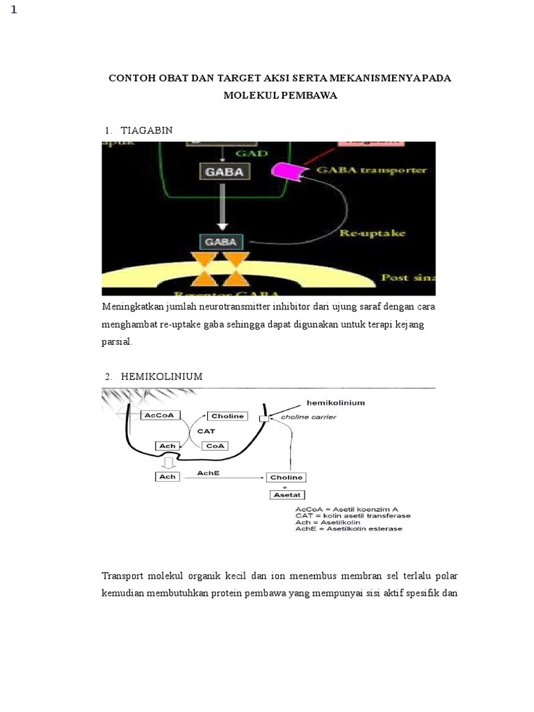 Mekanisme Kerja Obat Secara Farmakologi Molekuler | PDF