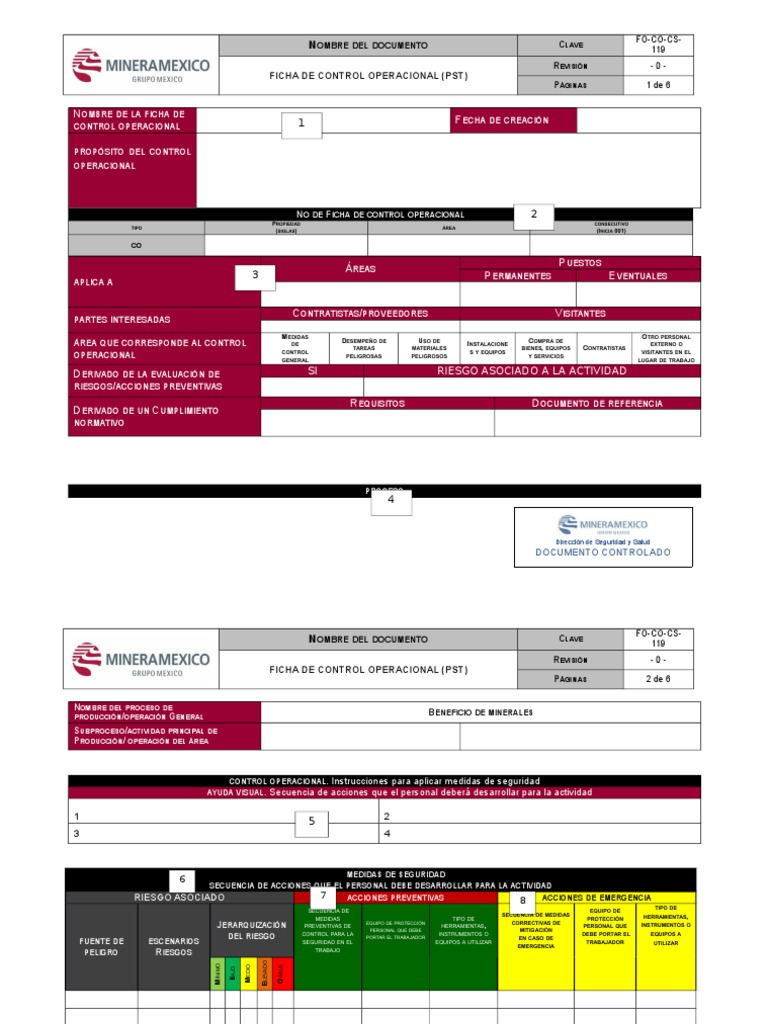 Fo-co-cs-119-Fo Ficha de Control Operacional | PDF | La seguridad | Bienestar