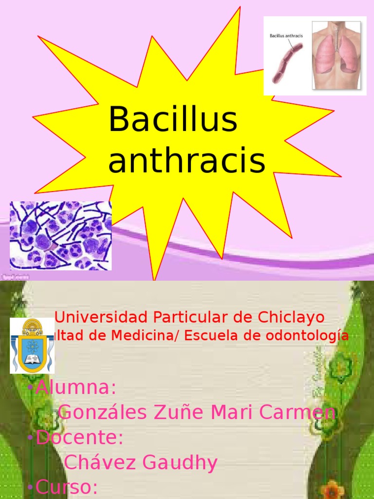 Bacillus anthracis: Características y Riesgos | PDF | Ántrax | Inmunología