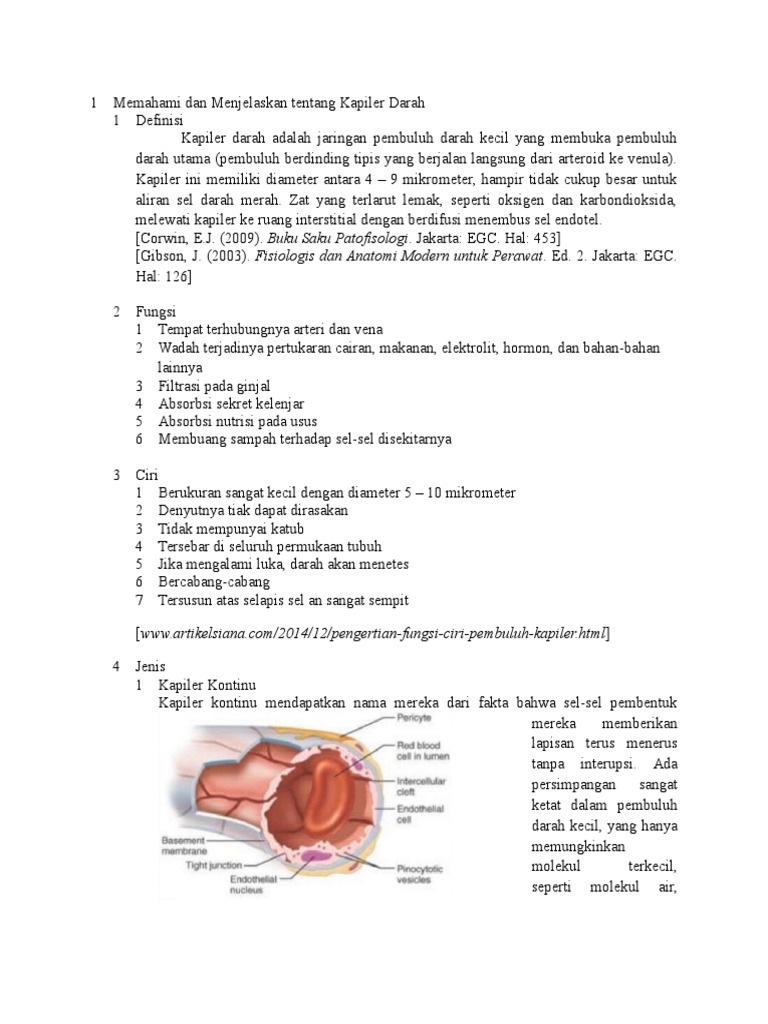 Fungsi dan Ciri Kapiler Darah | PDF