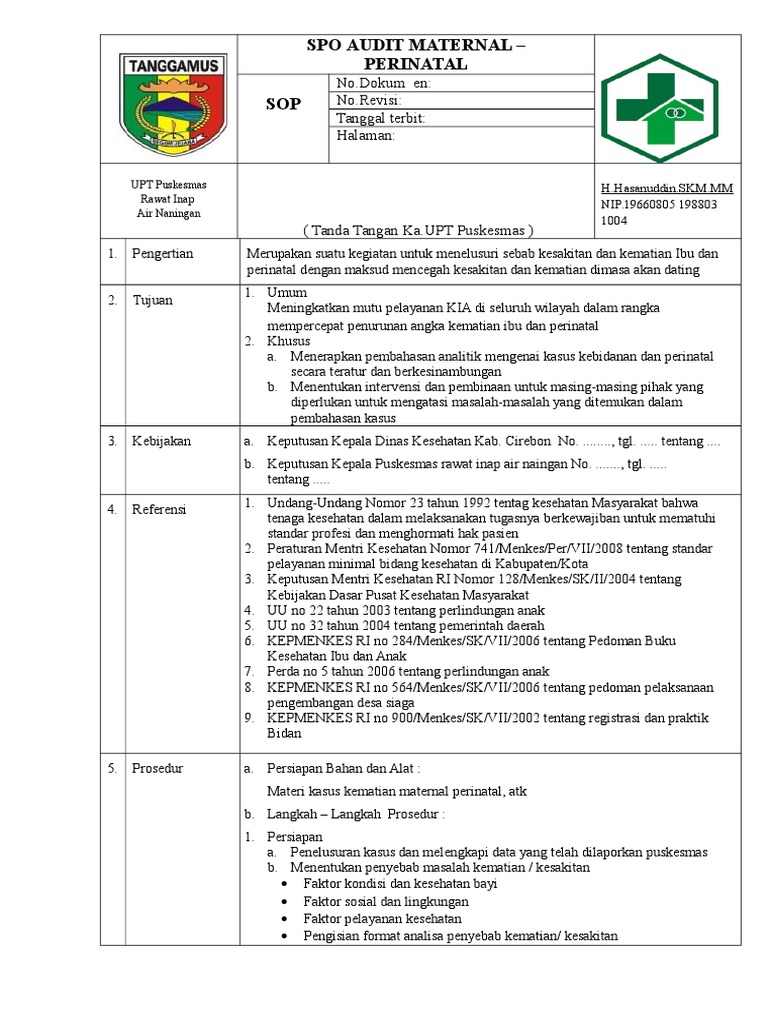 Spo 02 Audit Maternal Perinatal | PDF