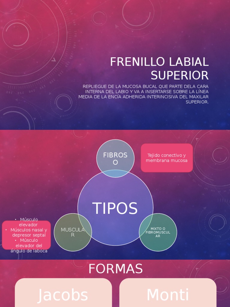 Qué es el frenillo labial superior | PDF | Labio | Anatomía de los primates