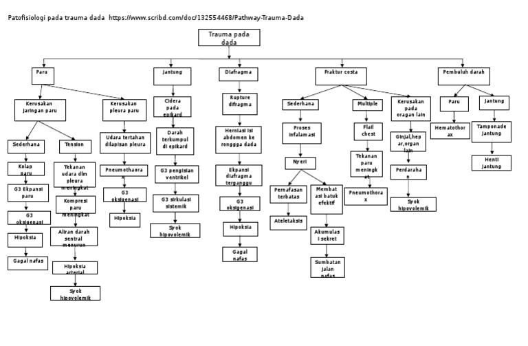 Pathway Trauma Thorax | PDF