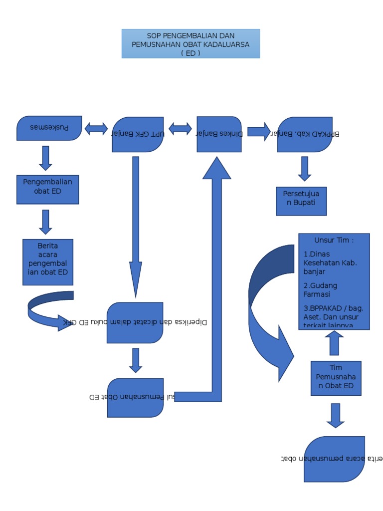 MaPIMAK Mind Map Sistem Pemusnahan Obat | PDF