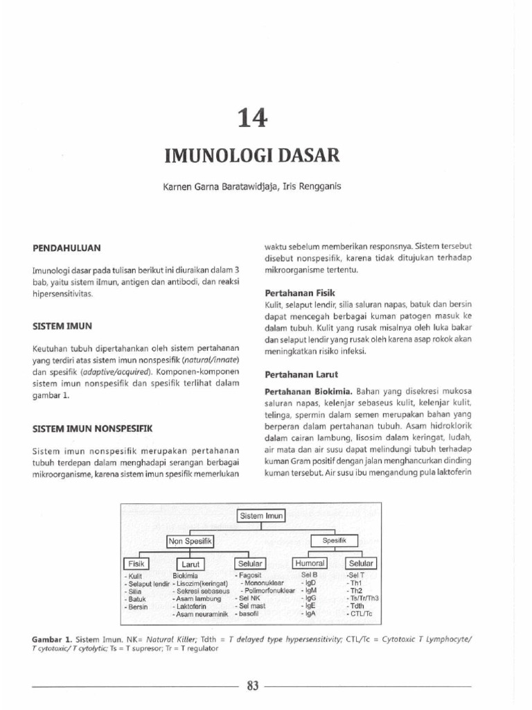 Imunologi Dasar Pdf Pdf