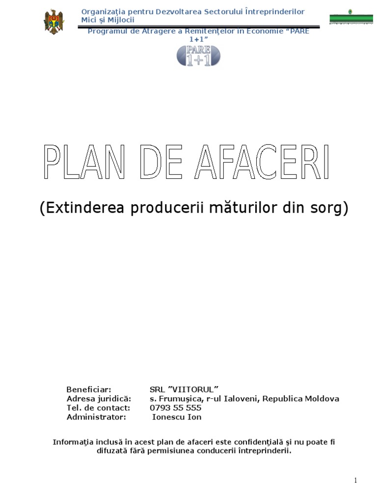 Model Plan de Afaceri Completat | PDF
