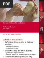 Hisex Brown Layer Management Guide | PDF | Selective Breeding | Chicken