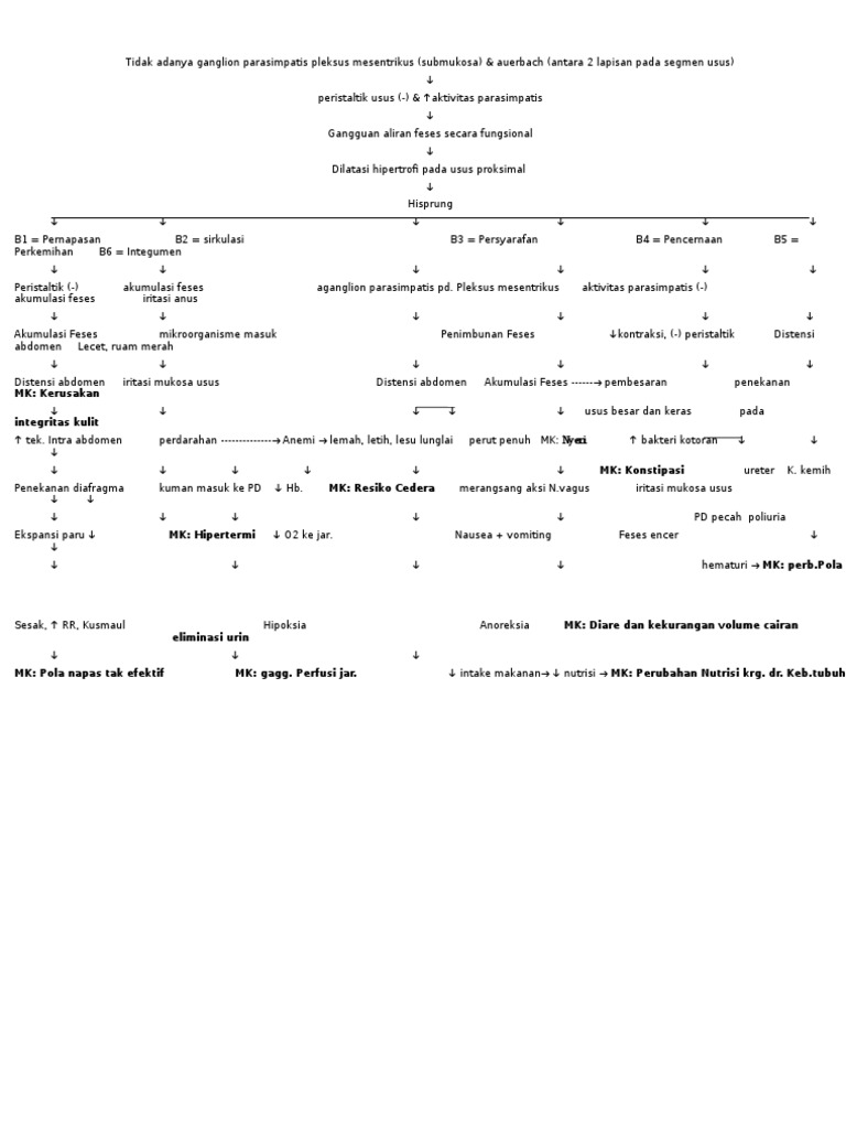 Pathway Hisprung | PDF