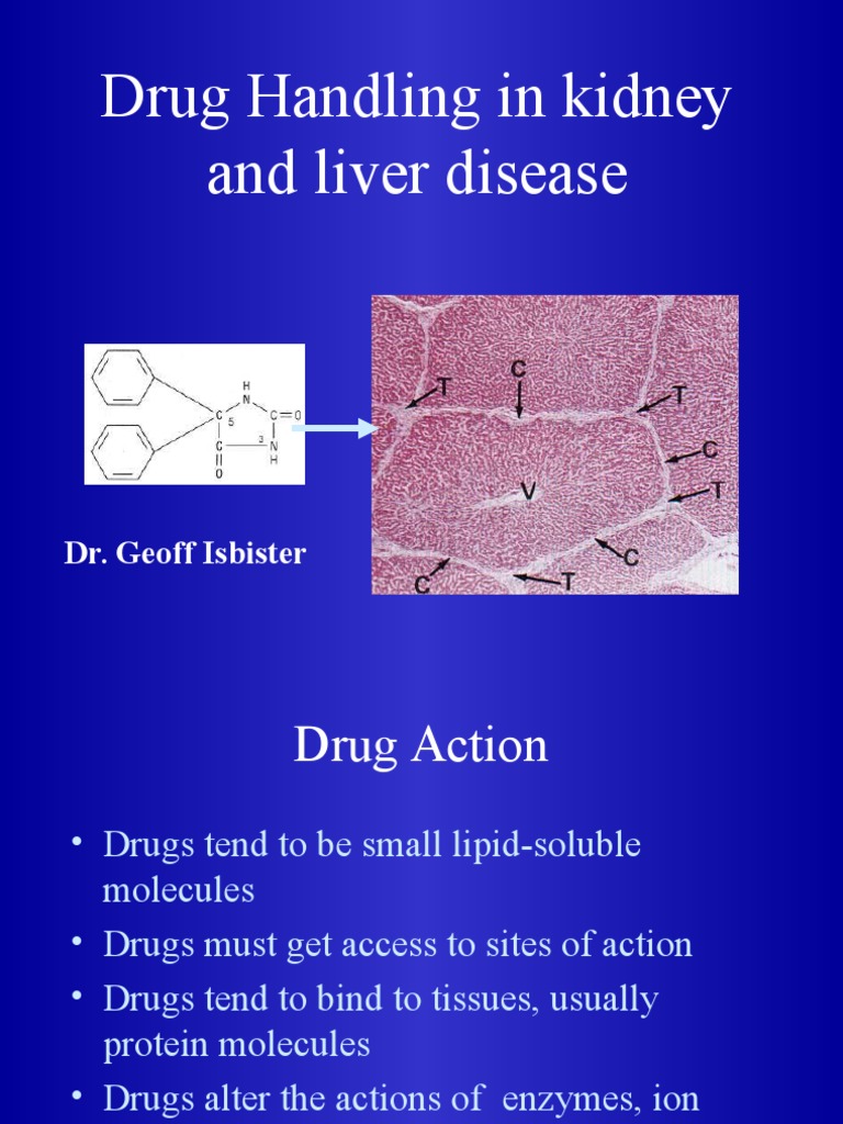 Drug Handling in Kidney and Liver Disease: Dr. Geoff Isbister | PDF ...