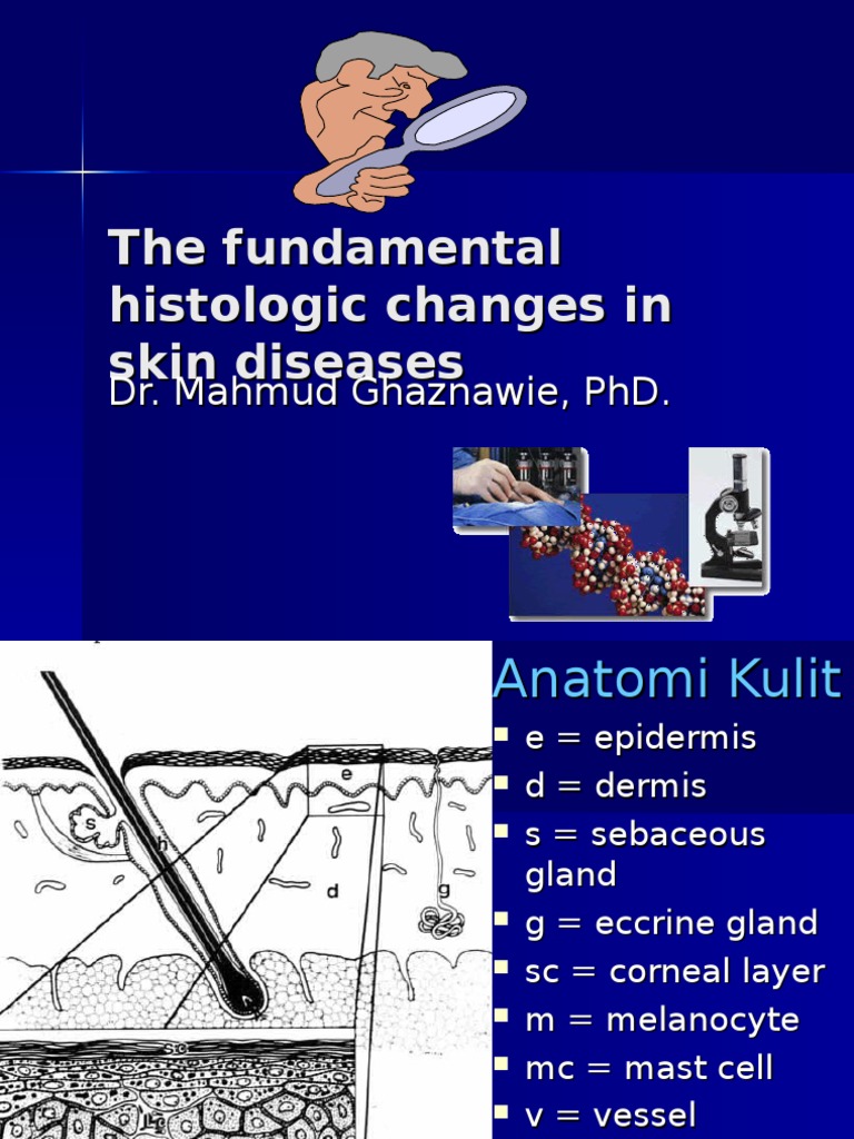 0.skin Pathology - Lecture | PDF | Cutaneous Conditions | Epidermis