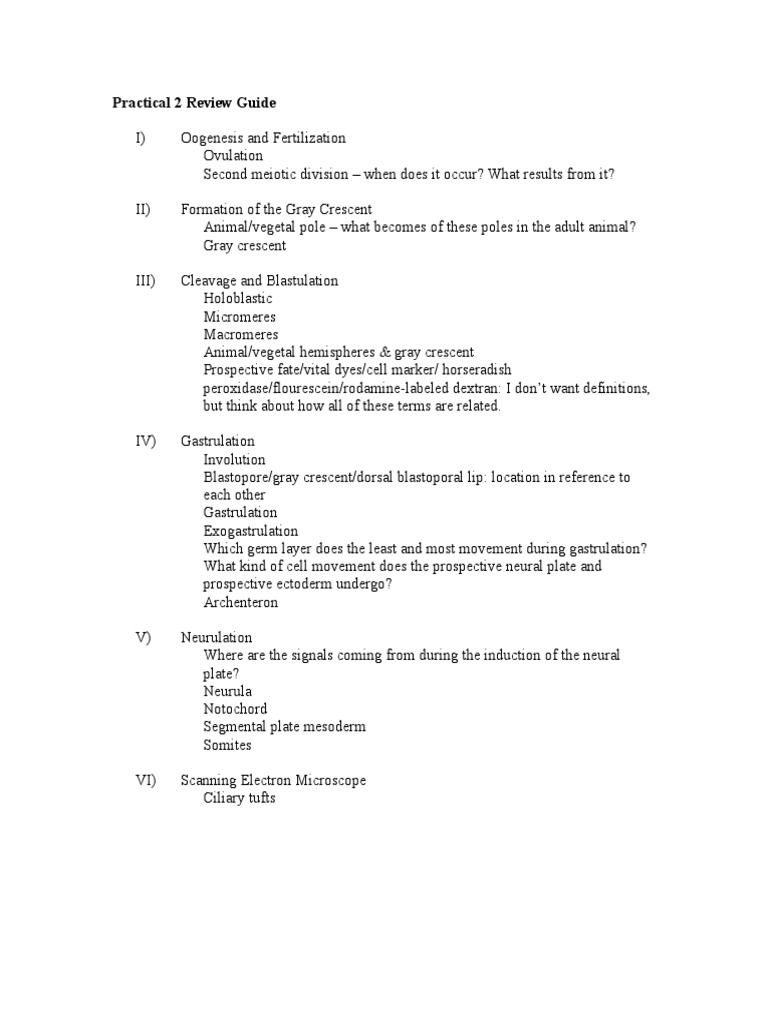 Practical 2 Guide | PDF