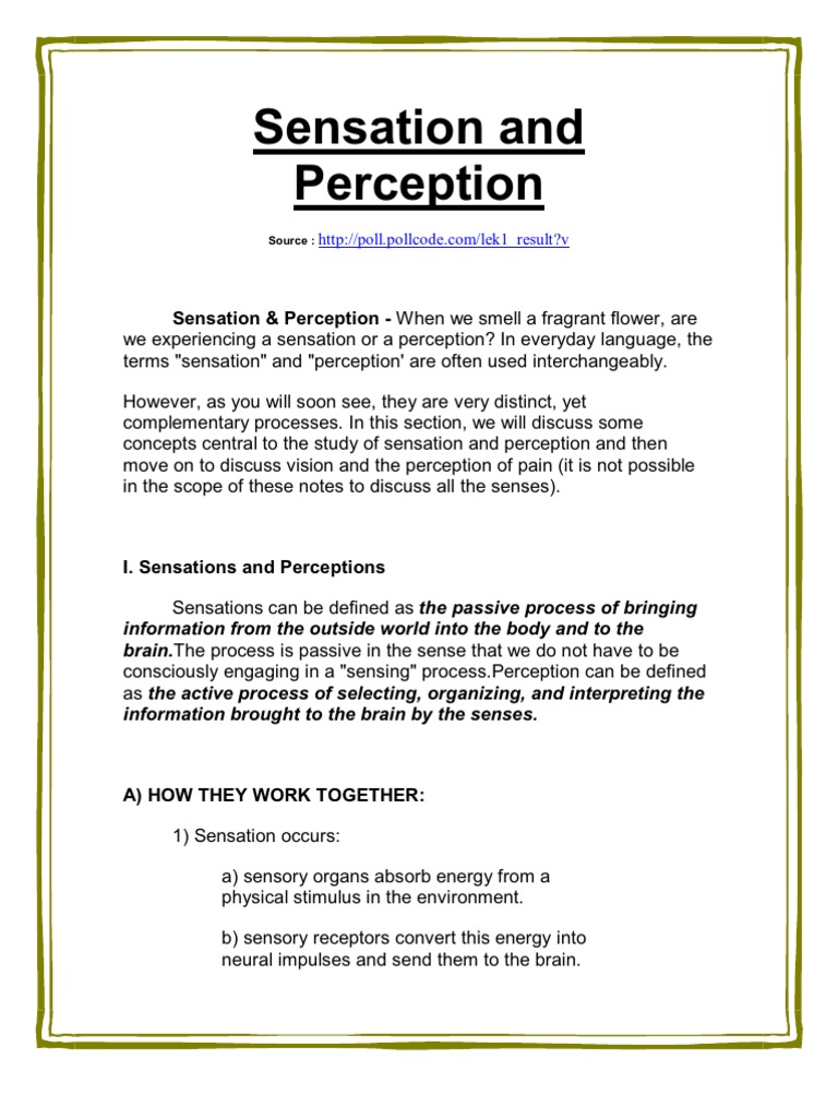 Sensation and Perception | PDF | Perception | Pain
