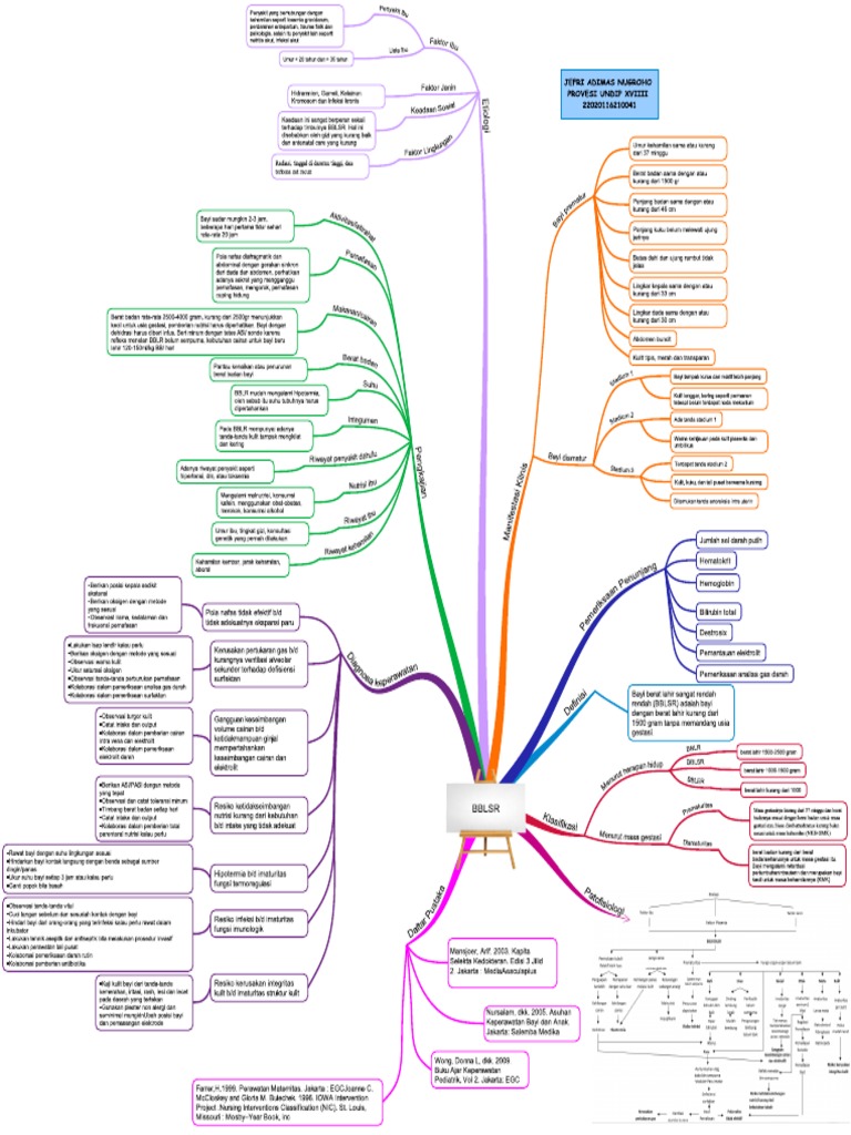 Mind Map BBLSR New PDF | PDF