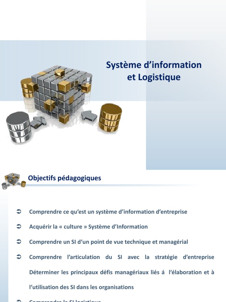 Système D'information Logistique | PDF | Progiciel de gestion intégré ...