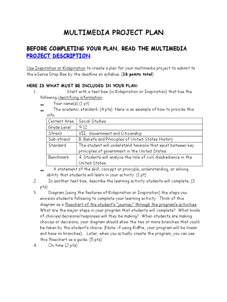 241 Multimedia Plan | PDF