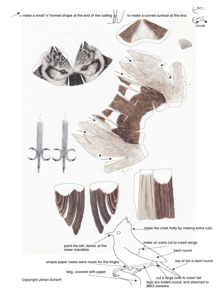 Papercraft Crested Tit | PDF