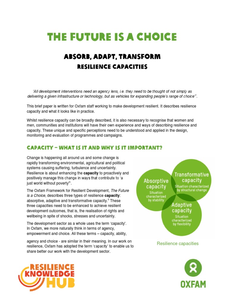 Absorb, Adapt, Transform: Resilience Capacities | PDF | Psychological ...