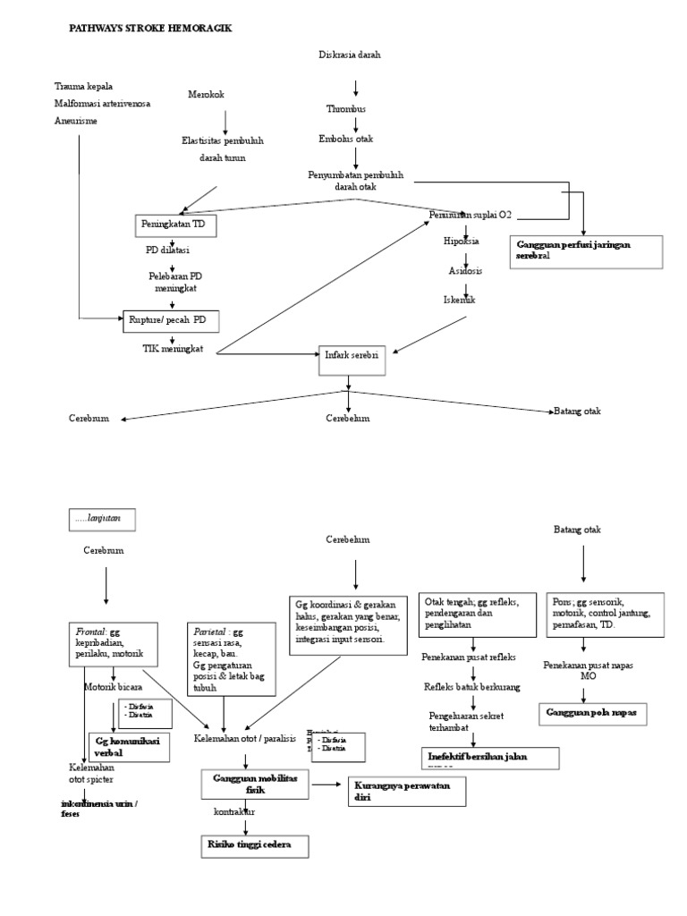 Pathways Stroke Hemoragik | PDF