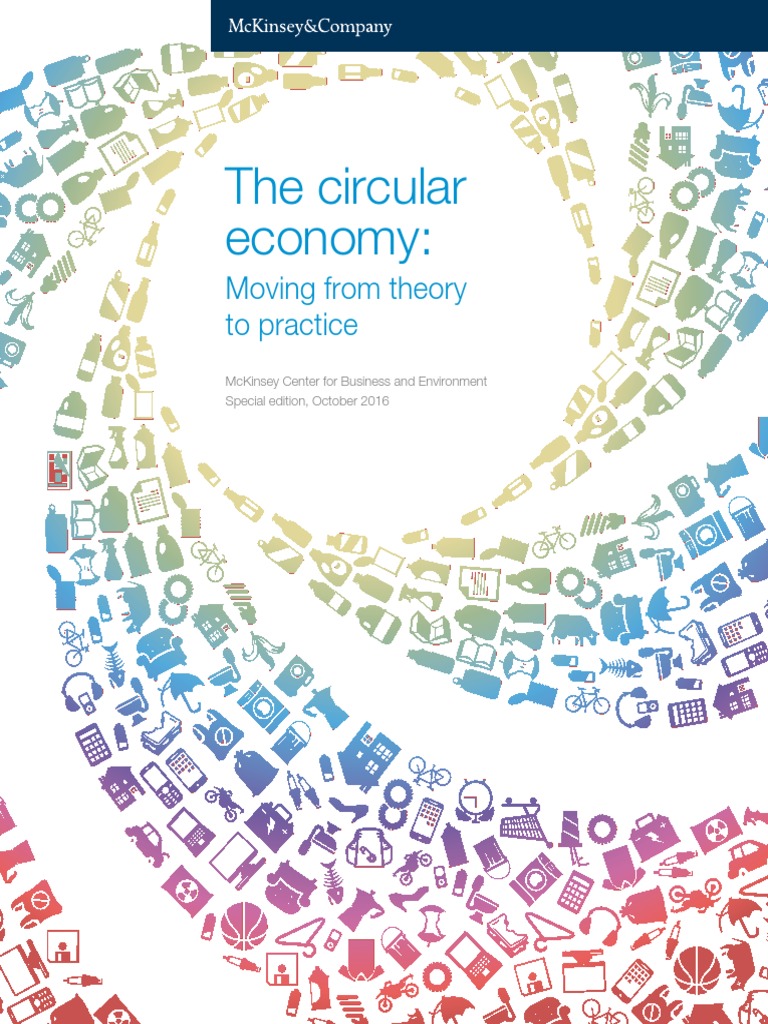 The Circular Economy Moving From Theory To Practice | PDF | Recycling ...