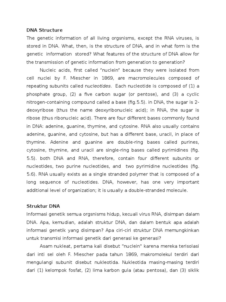 DNA Structure | PDF | Nucleotides | Nucleic Acids