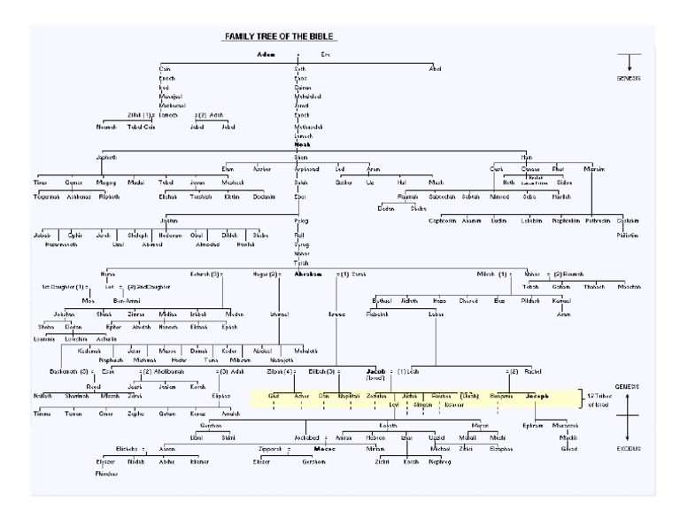 EXTENSIVE Bible Family Tree. | PDF