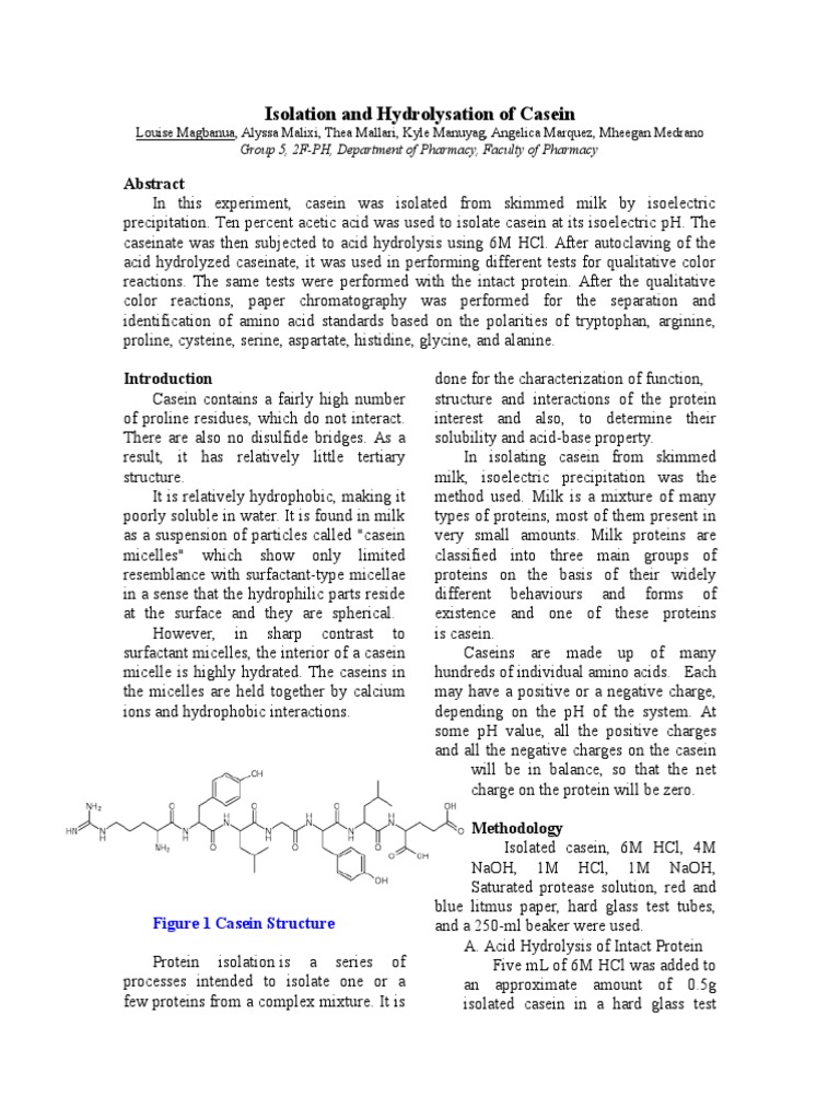 Isolation and Hydrolysation of Casein | PDF | Hydrolysis | Proteins
