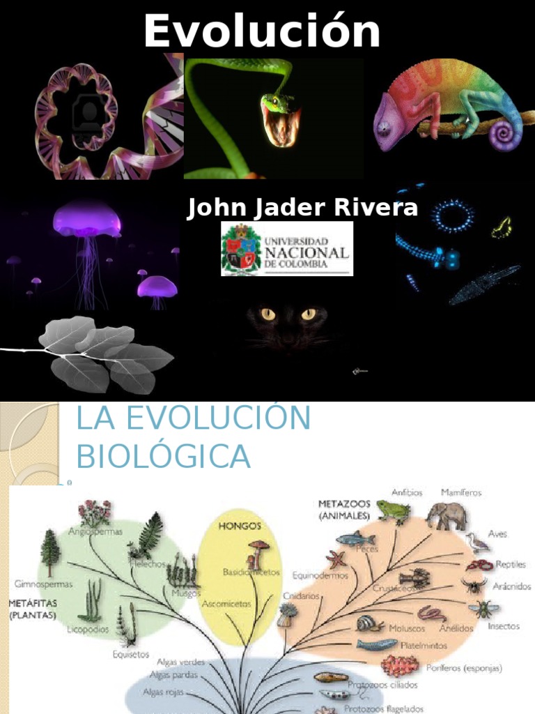 Evolucion Biologica