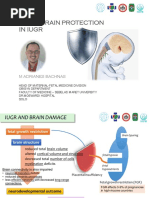 Western Aphasia Battery Test WAB Sample 2 | PDF | Aphasia | Speech