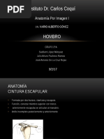 Apófisis Coracoides | PDF | Hombro | Extremidades (anatomía)