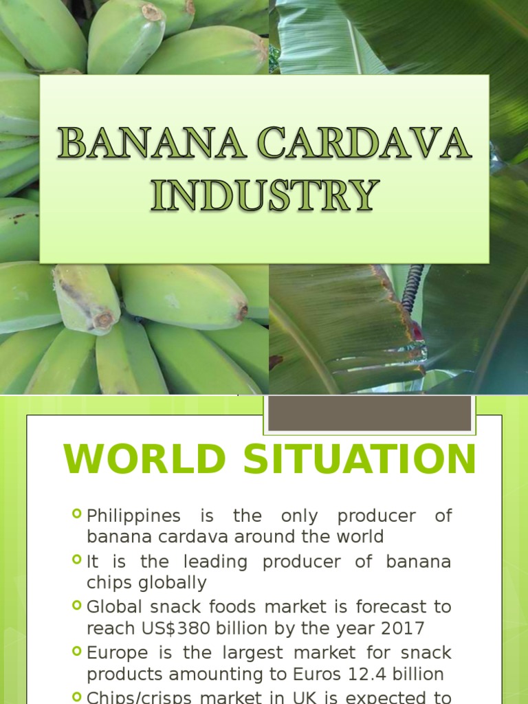 Banana Cardava Industry | PDF | Banana | Depreciation
