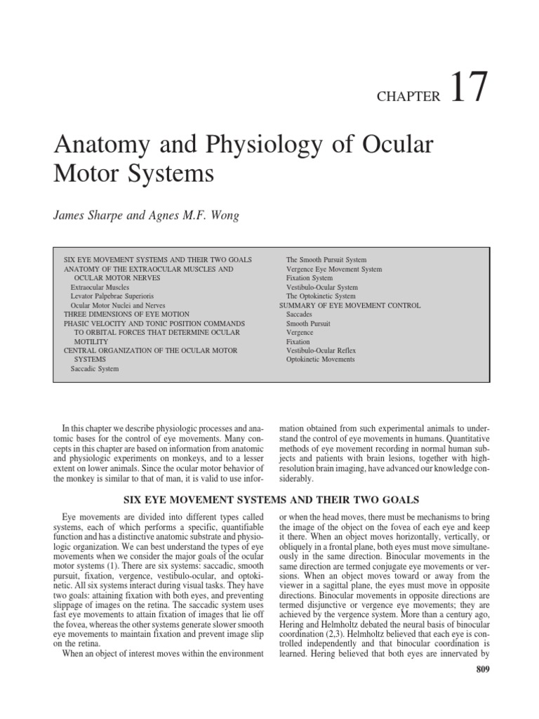 CHAPTER17 Anatomy and Physiology of OcularMotor Systems | PDF ...
