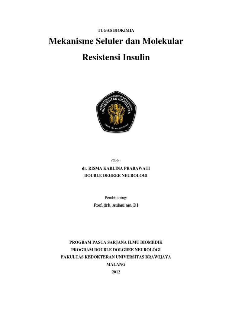 Resistensi Insulin DR Risma PDF | PDF