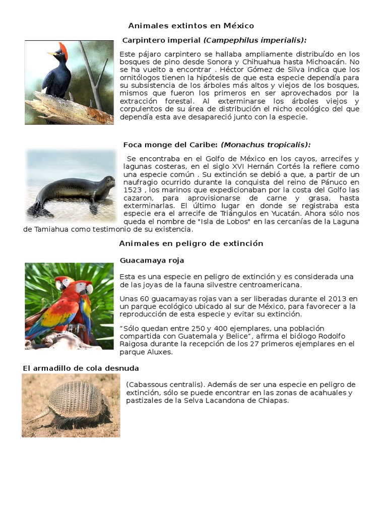 Animales Extintos en Mexico | PDF | Extinción | Conservación