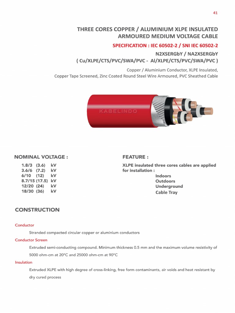Cu Xlpe Cts PVC Swa PVC Al Xlpe Cts PVC Swa PVC (N2xsergby Na2xsergby | PDF