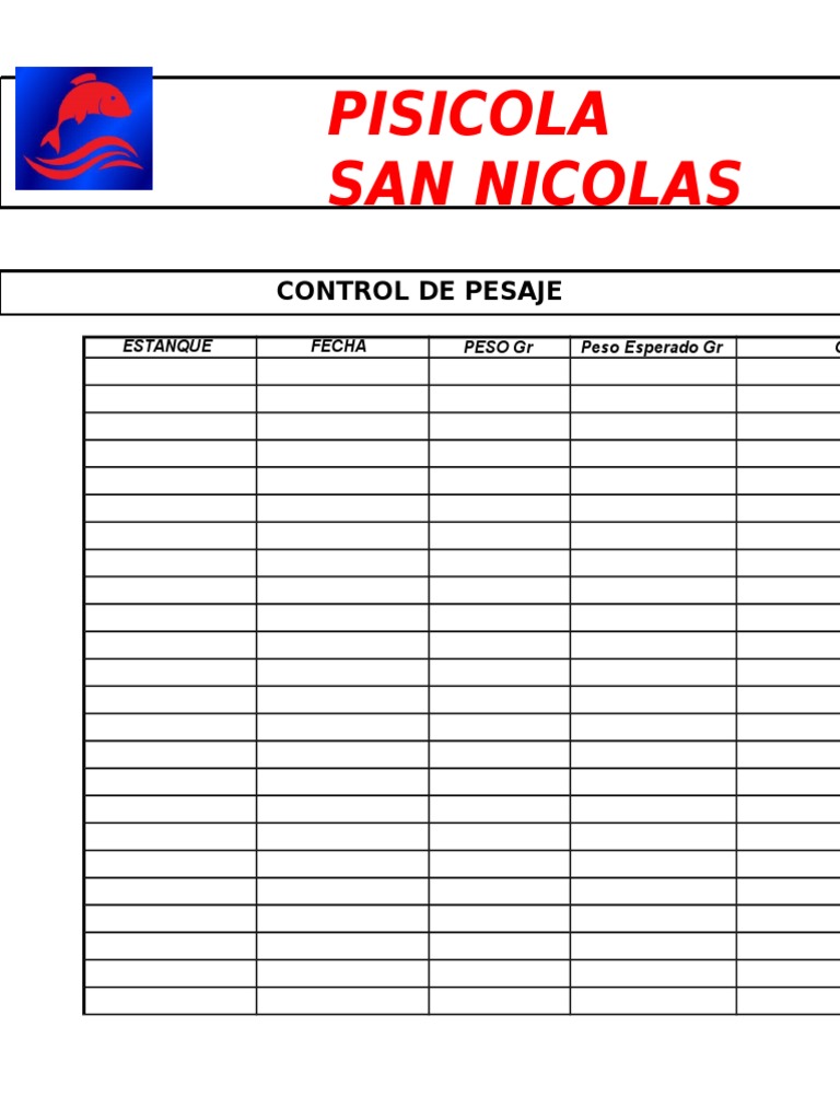 Tabla Control de Pesaje | PDF