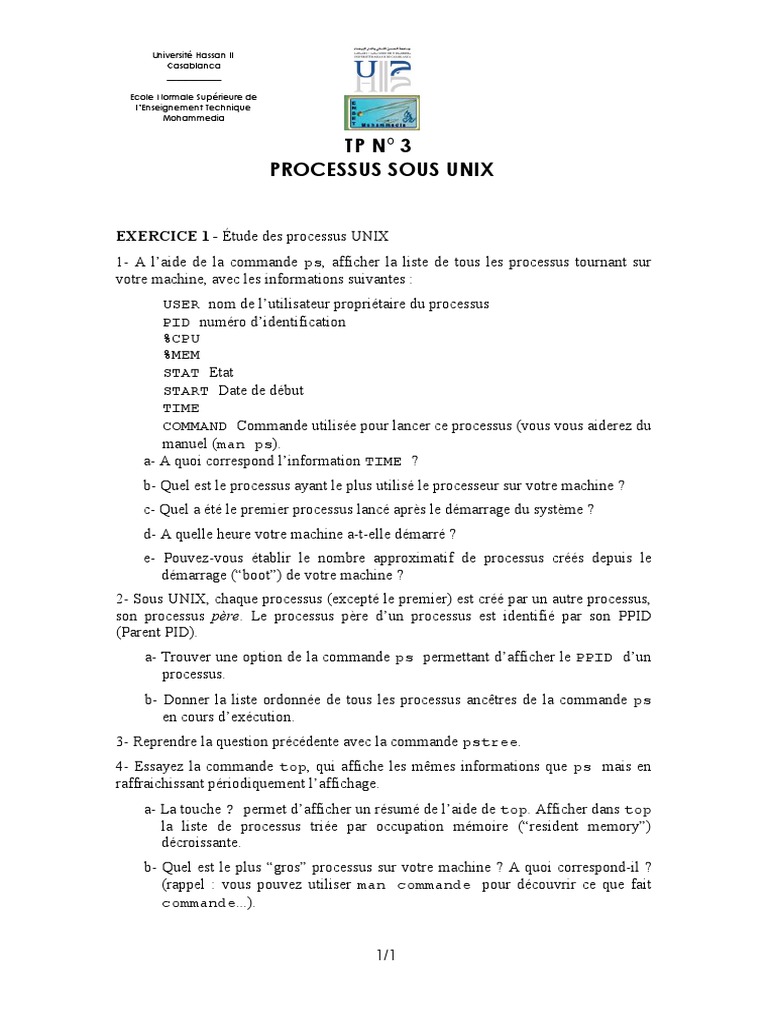 TP2 Gestion Processus PDF | PDF | Ordinateurs