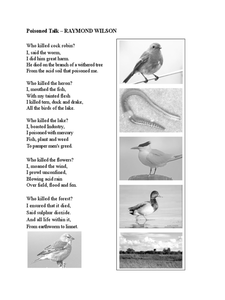 Poisoned Talk Poem | PDF