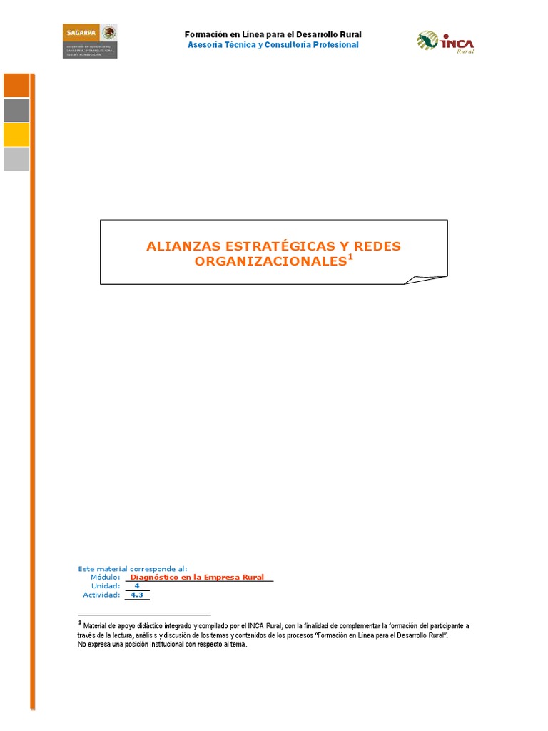 Alianzas Estrategicas y Redes Organizacionales | PDF | Outsourcing | Planificación