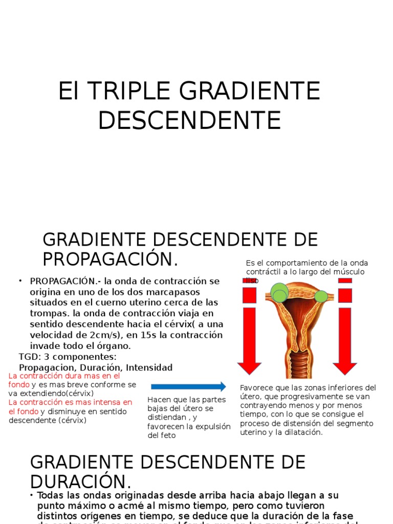 El Triple Gradiente Descendente