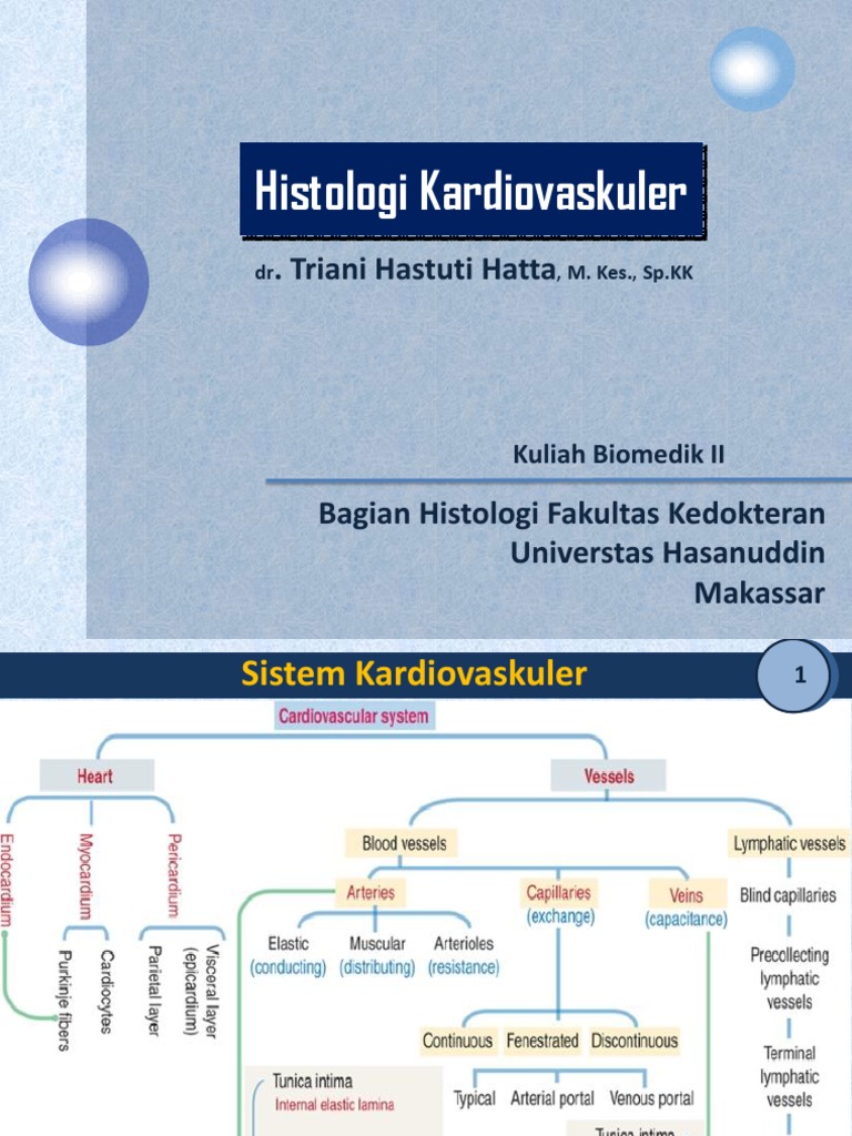 Histologi Kardiovaskuler - Biomedik II | PDF