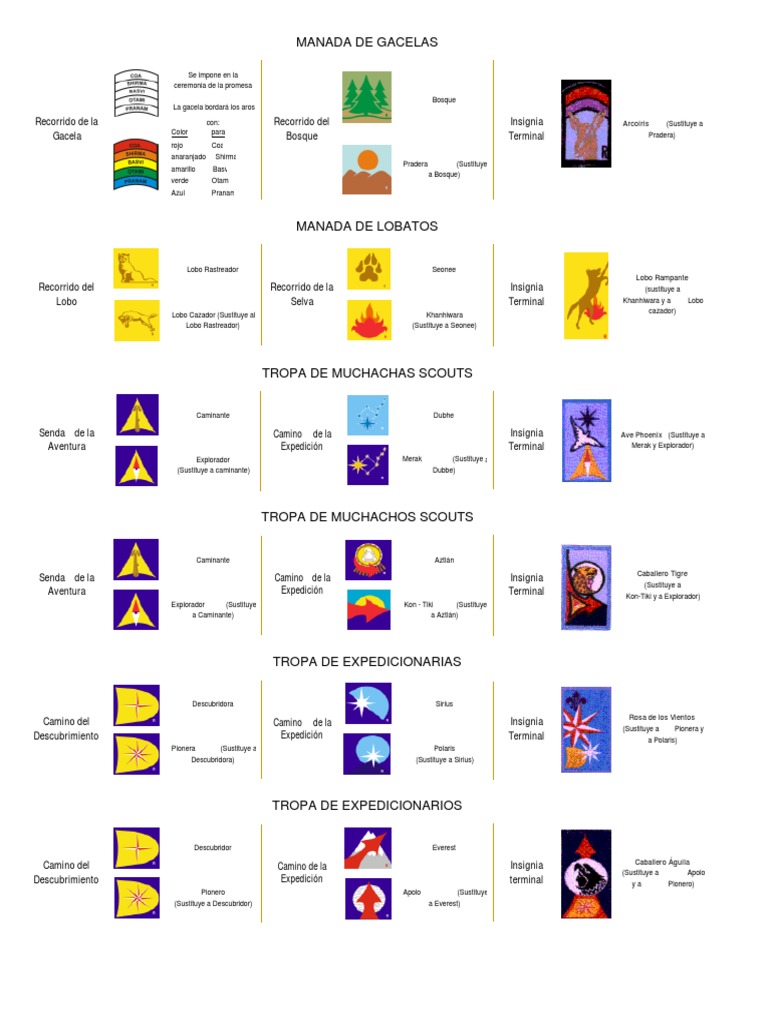 Insignias Scouts | PDF