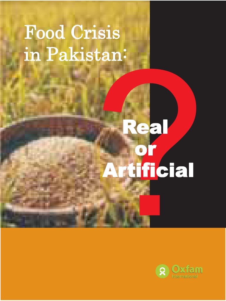 Food Crisis in Pakistan: Real or Artificial? | PDF | Household Income ...