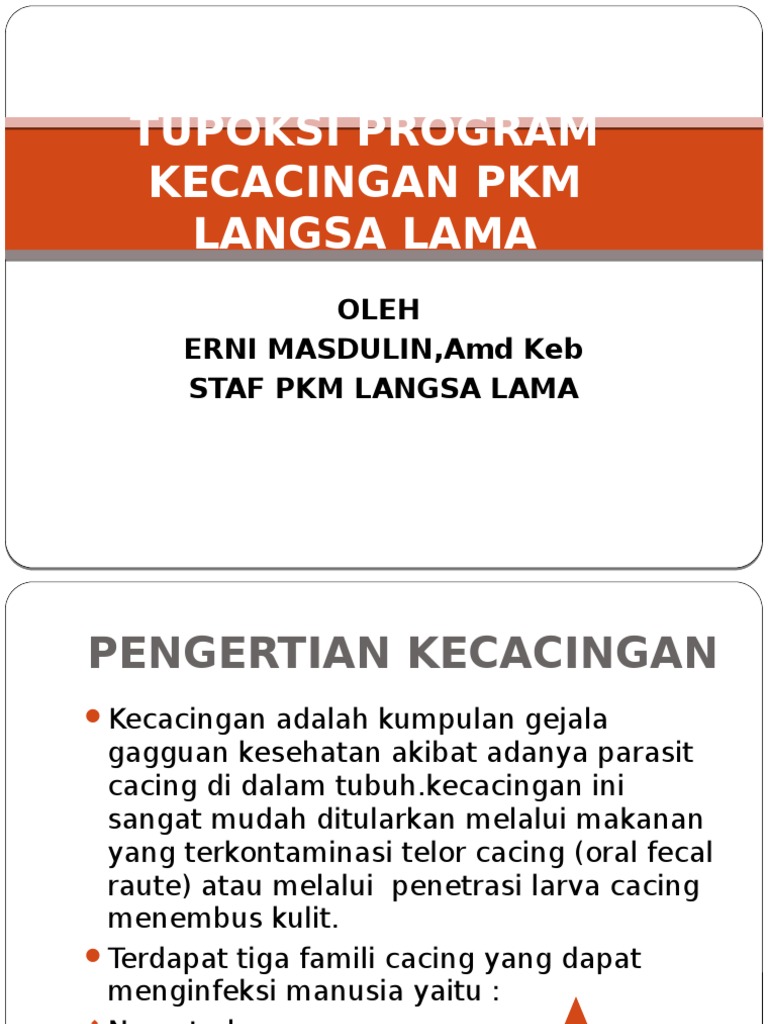 Tupoksi Program Kecacingan PKM Langsa Lama | PDF