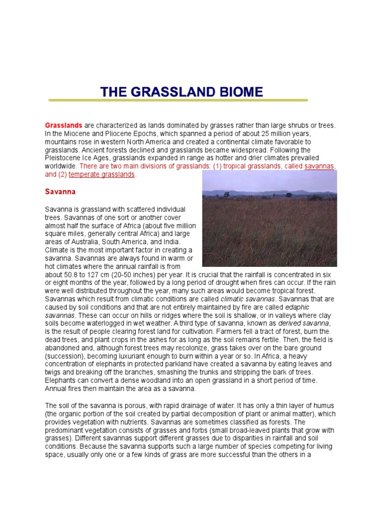 Grassland | PDF | Grassland | Savanna