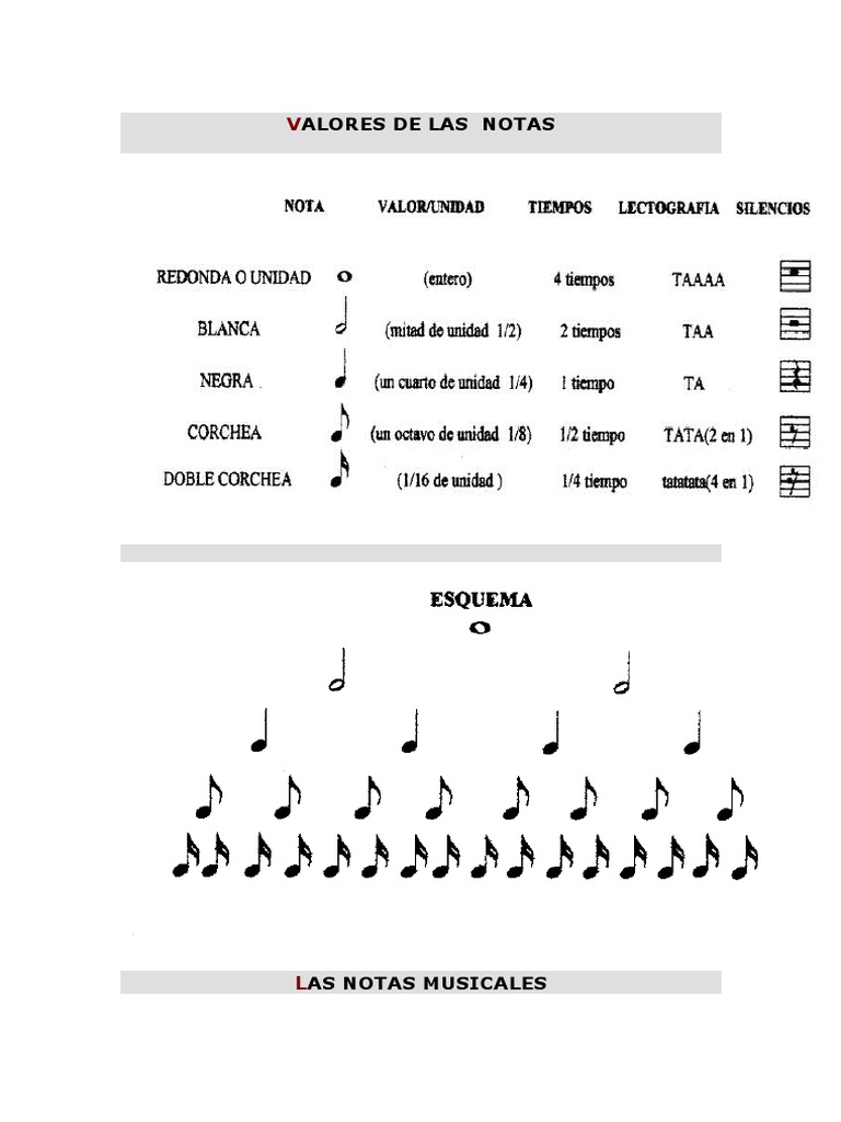 Valores de Las Notas | PDF | Clave | Intervalo (música)